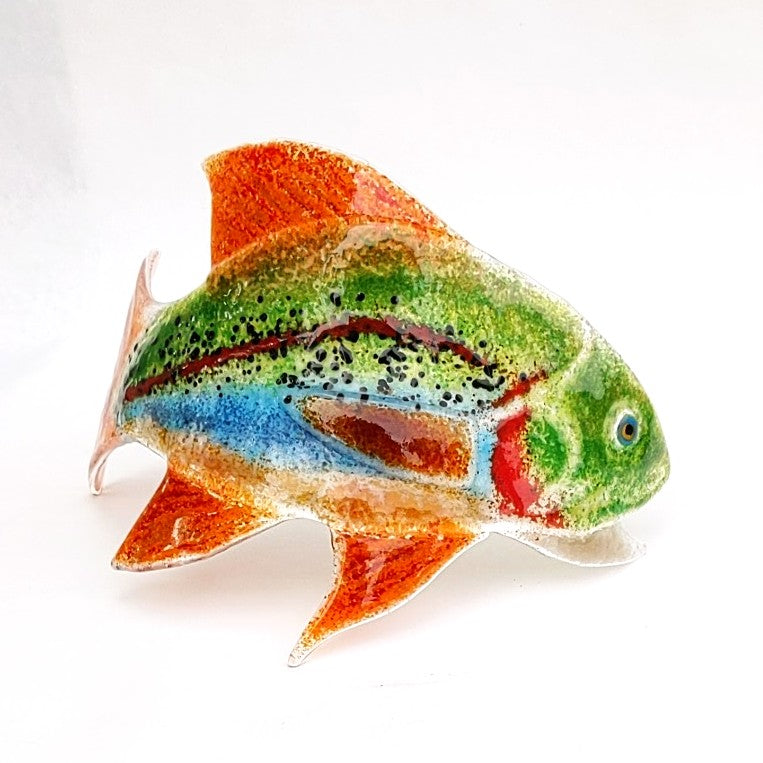 Curved Fish – Styll Gallery