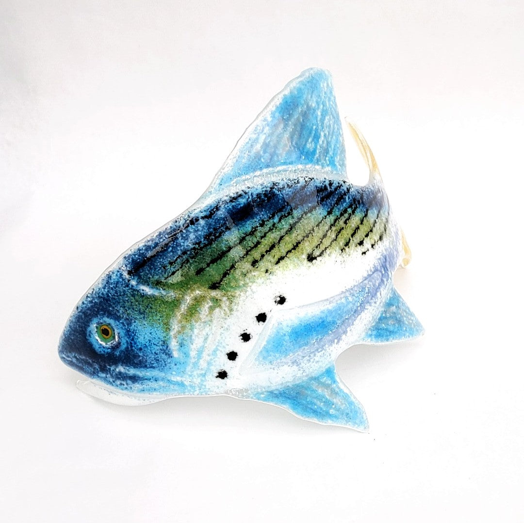 Curved Fish – Styll Gallery