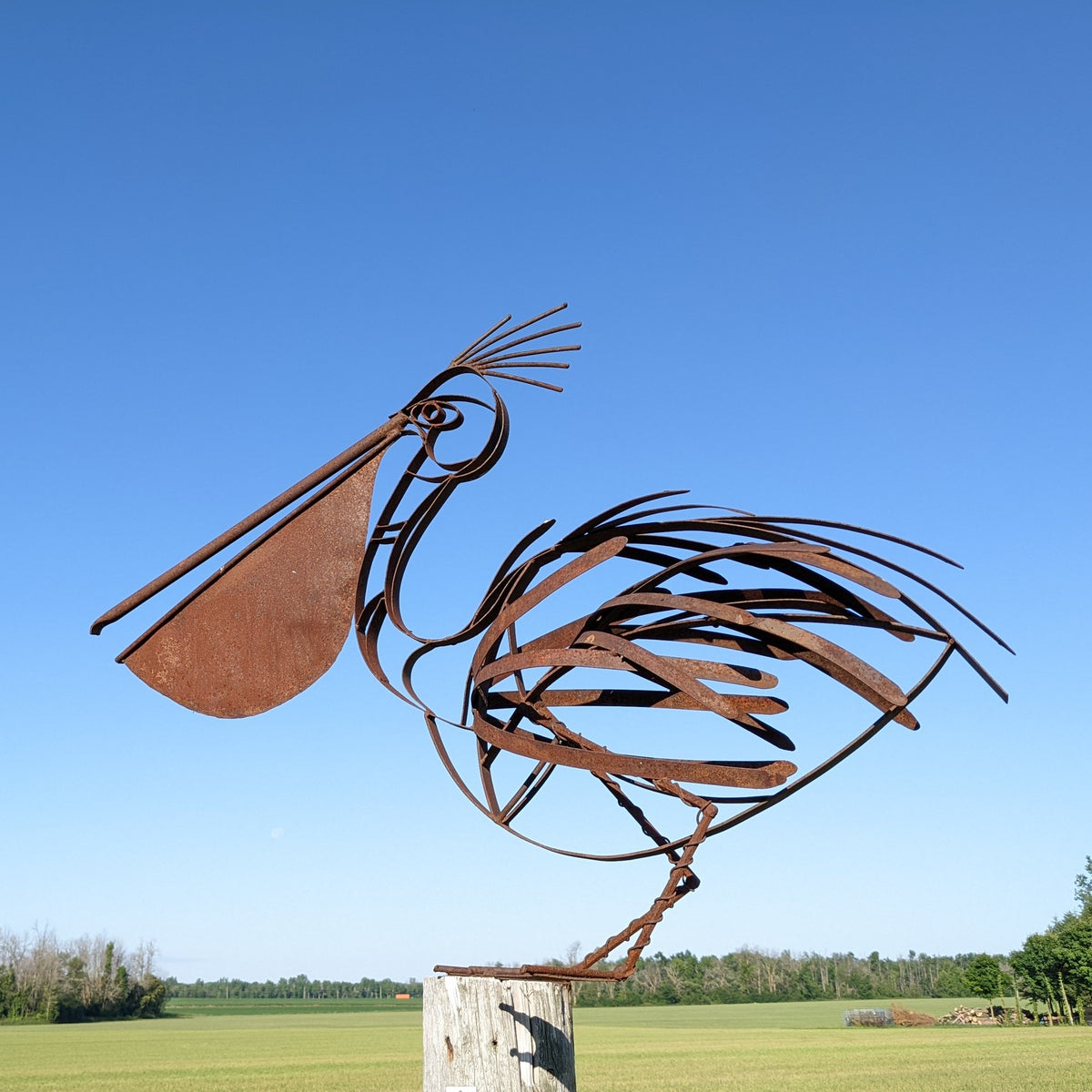 Pelican II – Styll Gallery